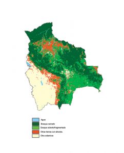 Bosques en la Tierra y en Bolivia – Riquezas de Bolivia
