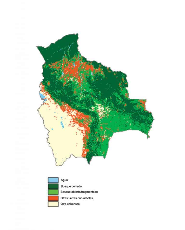 Bosques en la Tierra y en Bolivia - Riquezas de Bolivia