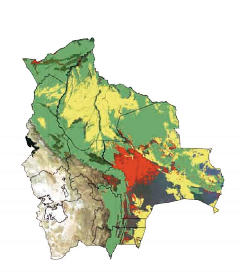 Bosques en la Tierra y en Bolivia – Riquezas de Bolivia