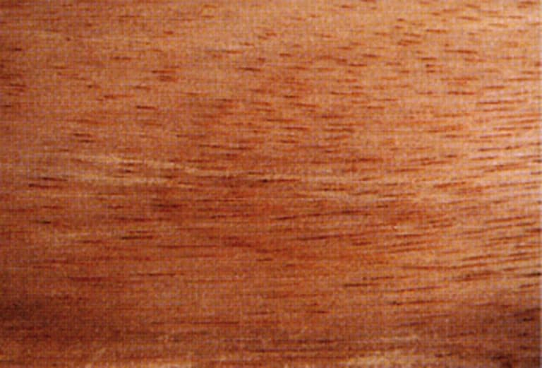 Especies Maderables en Bolivia - Riquezas de Bolivia